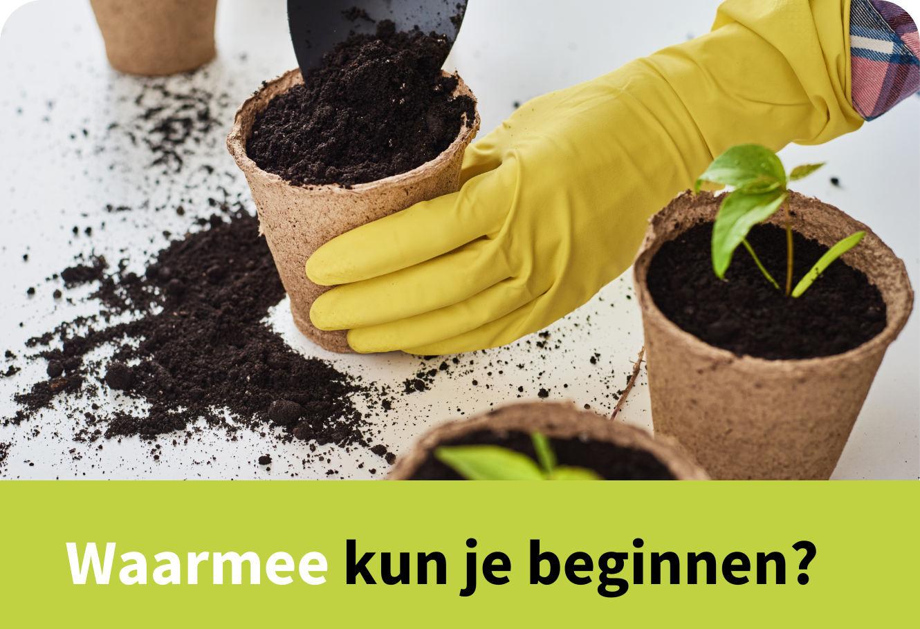 Tuintips - Zo begin je een moestuin