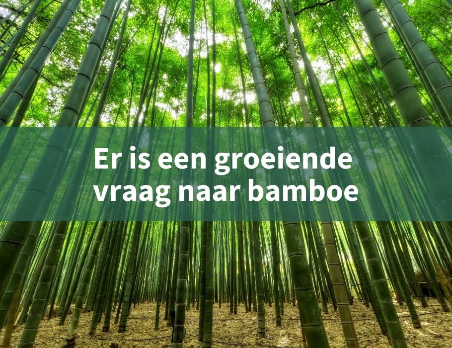 Biobased bouwen met bamboe