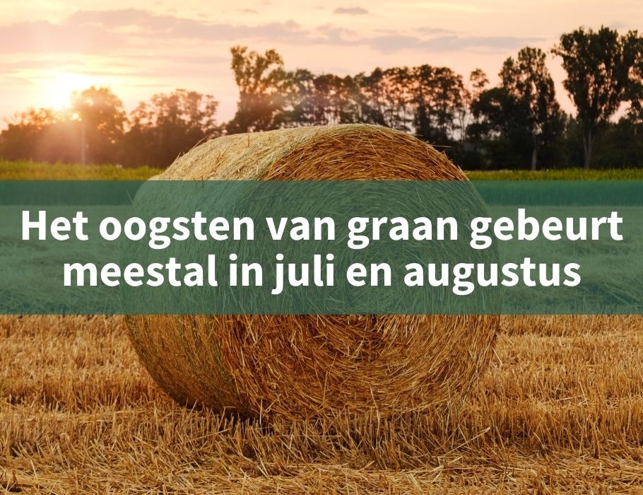 Stro als biobased bouwmateriaal
