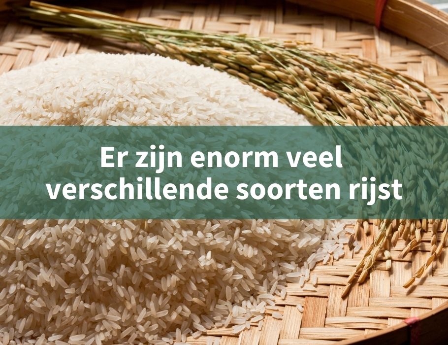 Rijstkaf als biobased bouwmateriaal