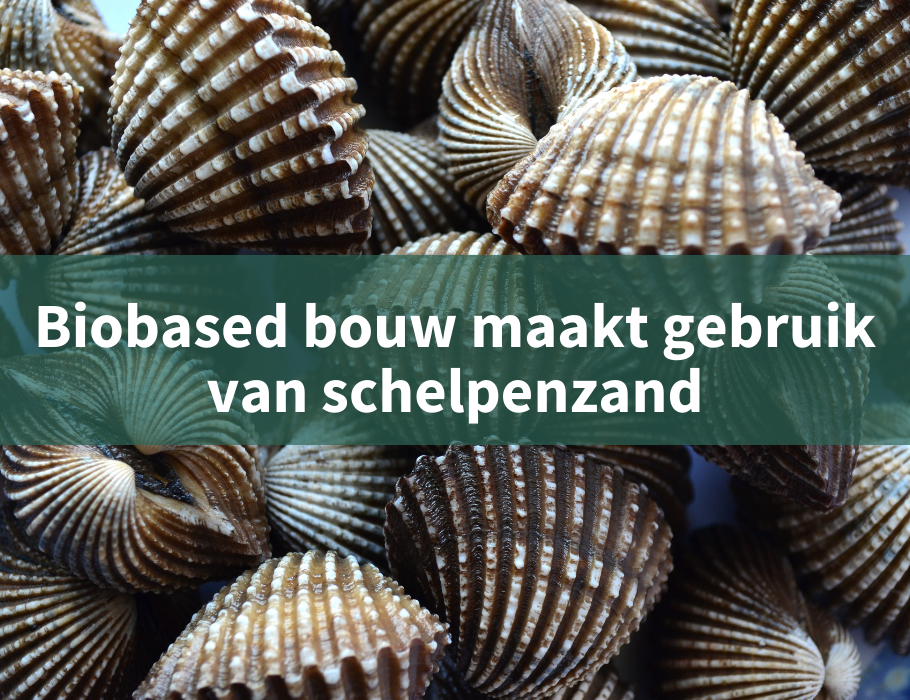 Schelpen als biobased bouwmateriaal