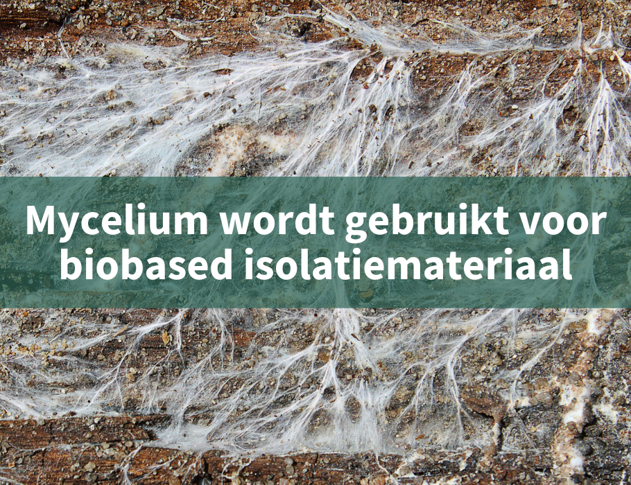 Mycelium: natuurlijk en aards