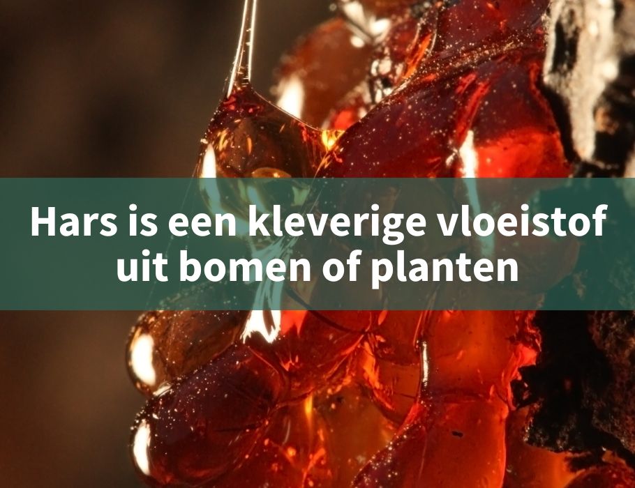Hars: biobased bouwen met hars